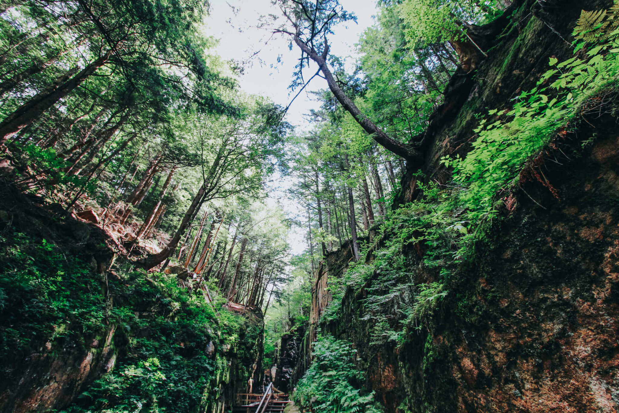 Franconia Notch and Waterfalls of New Hampshire - Wander & Wilde