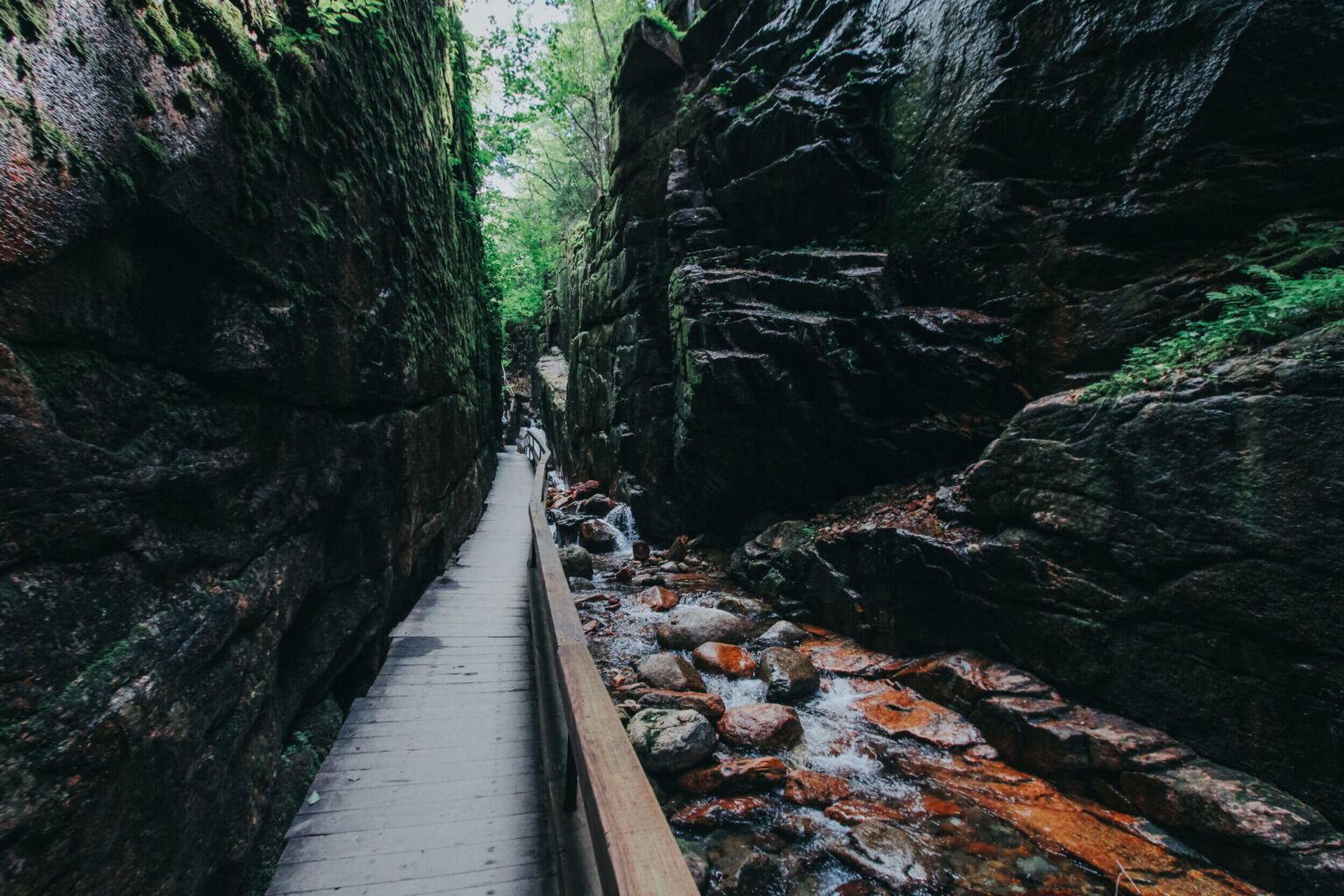 Franconia Notch and Waterfalls of New Hampshire - Wander & Wilde