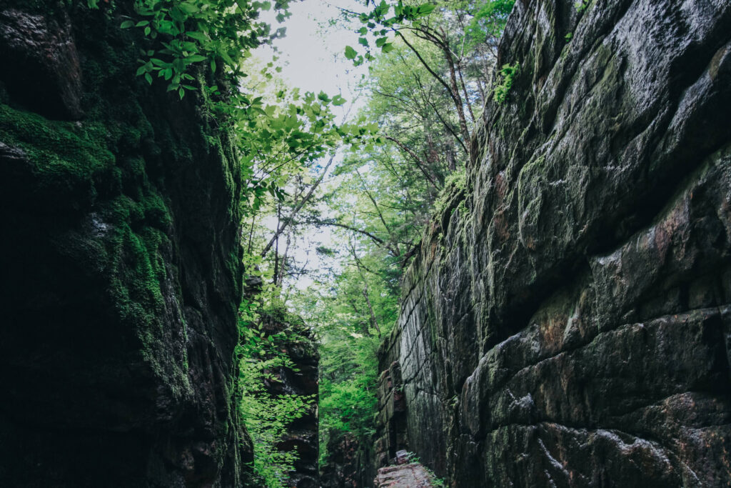Franconia Notch and Waterfalls of New Hampshire - Wander & Wilde