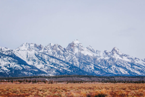 Discovering Grand Teton in Spring: A National Park Seasonal Guide ...