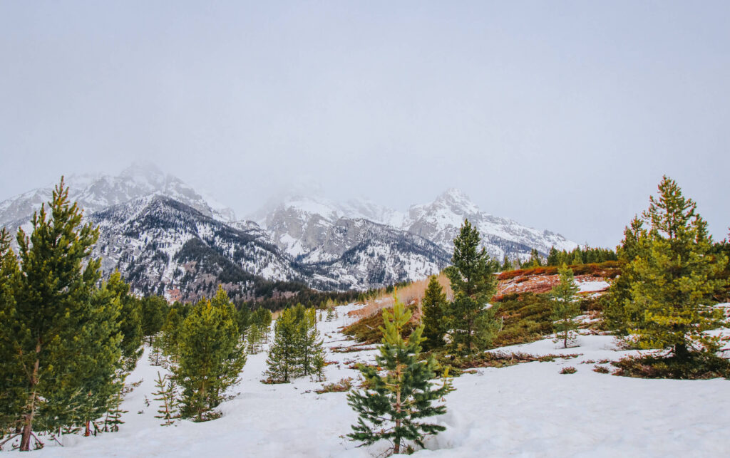 Discovering Grand Teton in Spring: A National Park Seasonal Guide ...