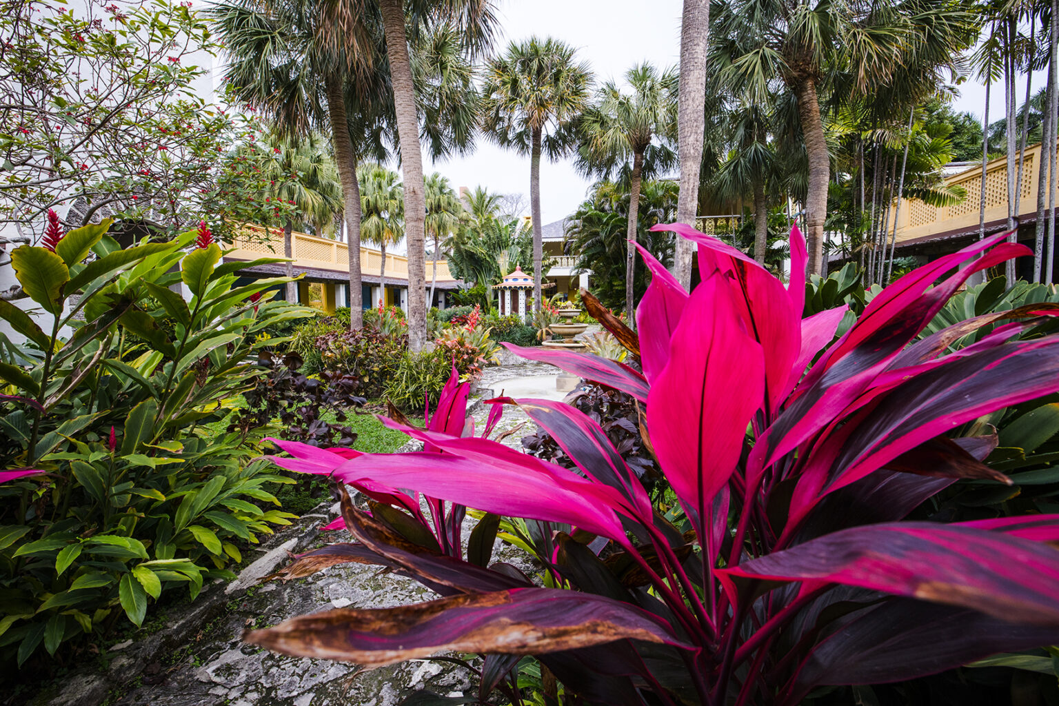 The Bonnet House: A Historic Gem in South Florida - Wander & Wilde