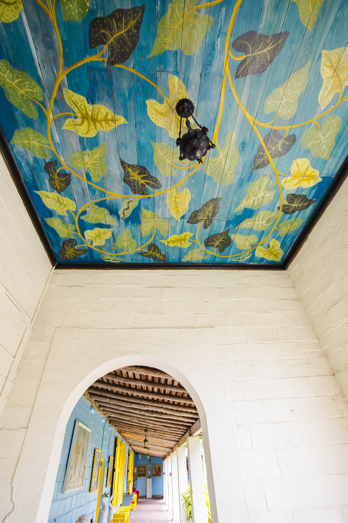 The Bonnet House: A Historic Gem in South Florida - Wander & Wilde