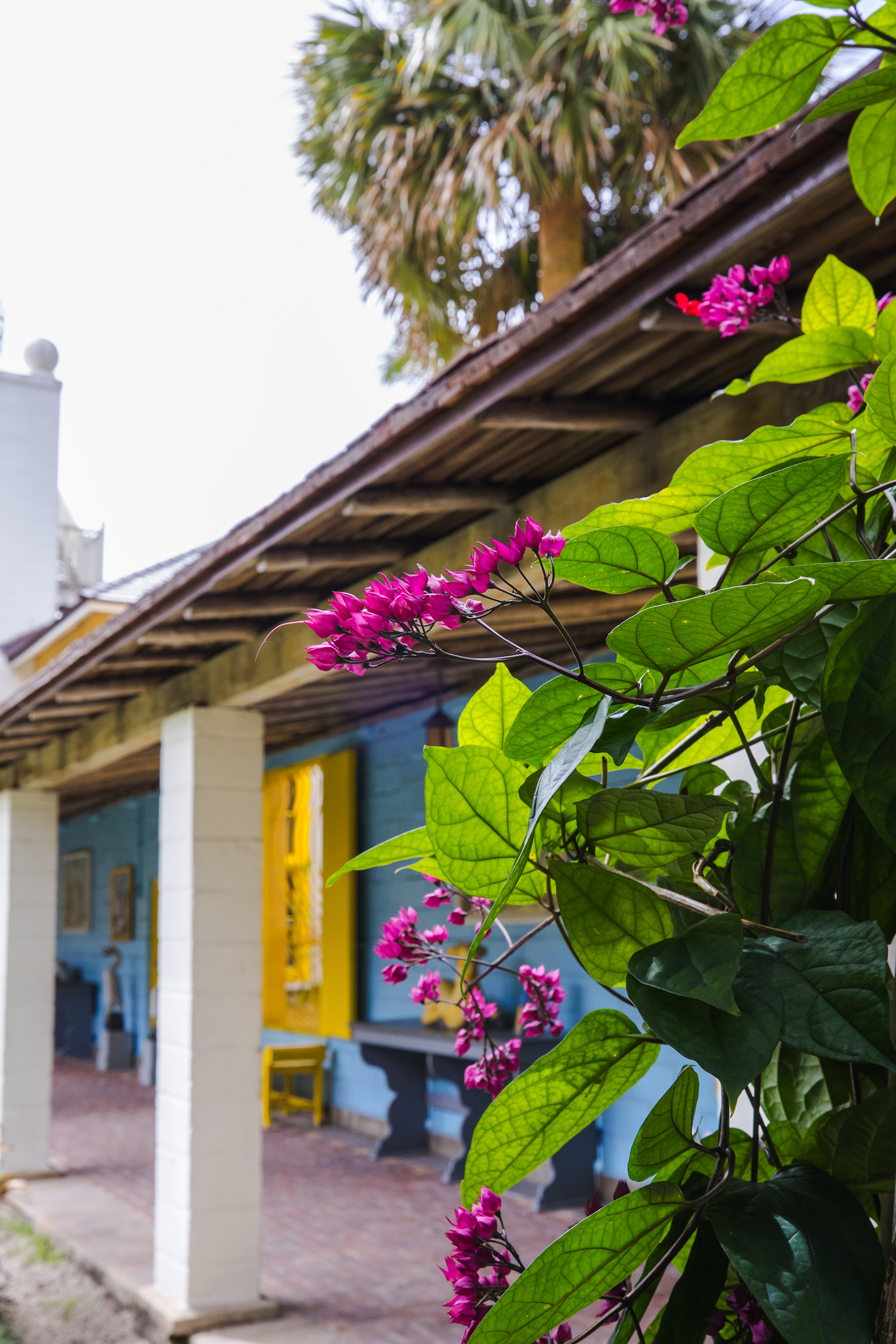 The Bonnet House: A Historic Gem in South Florida - Wander & Wilde