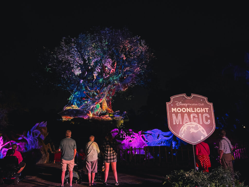 #Everything You Need to Know About Moonlight Magic: The Ultimate Guide ...