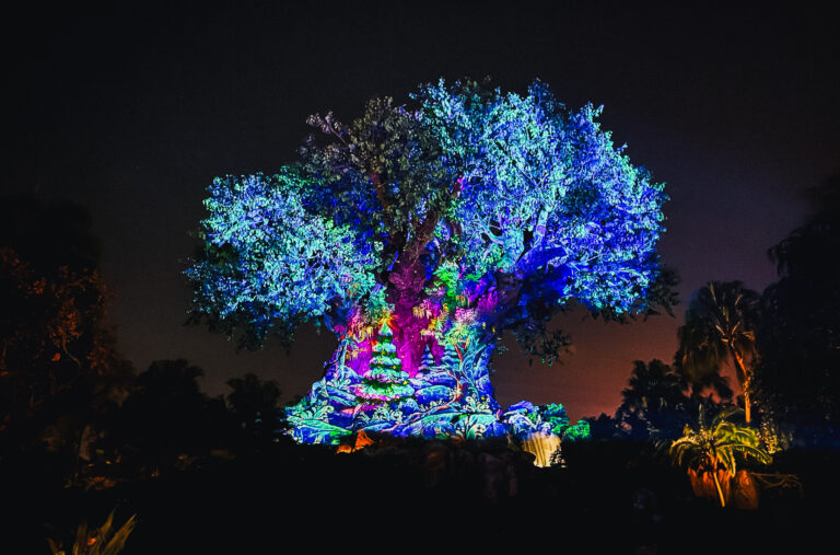 #Everything You Need to Know About Moonlight Magic: The Ultimate Guide ...