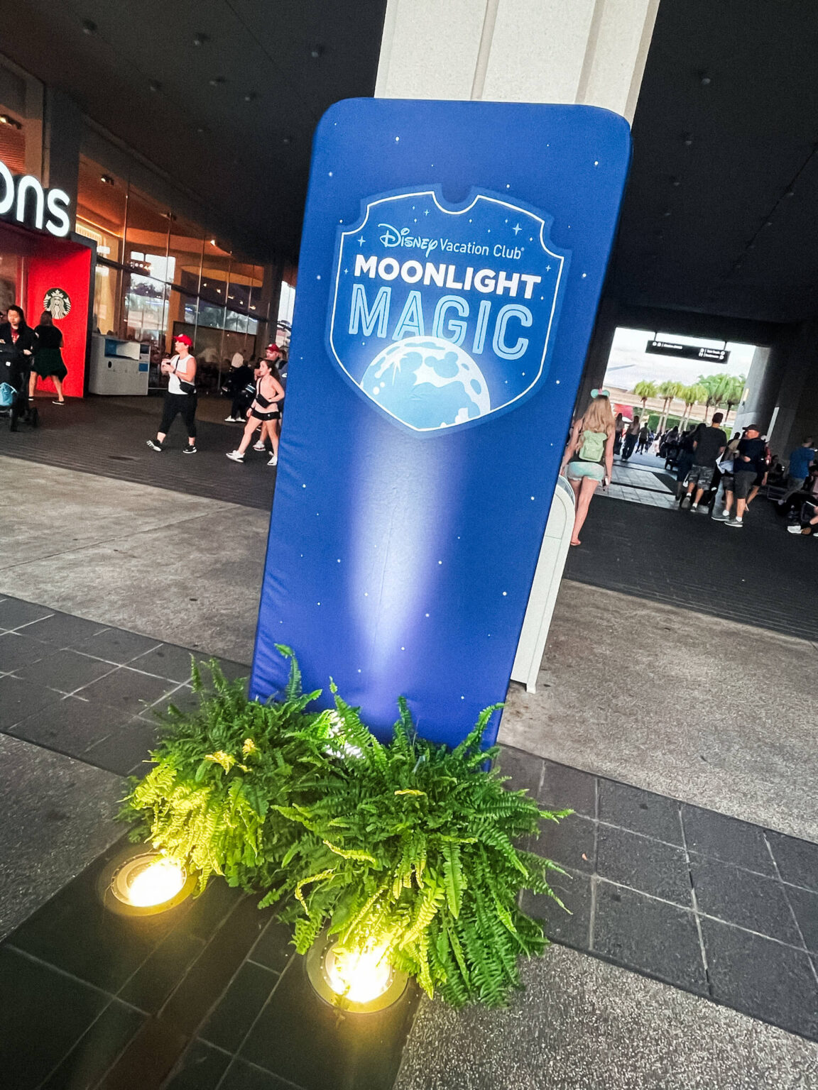 The DVC Member’s Guide to Moonlight Magic at EPCOT - Wander & Wilde