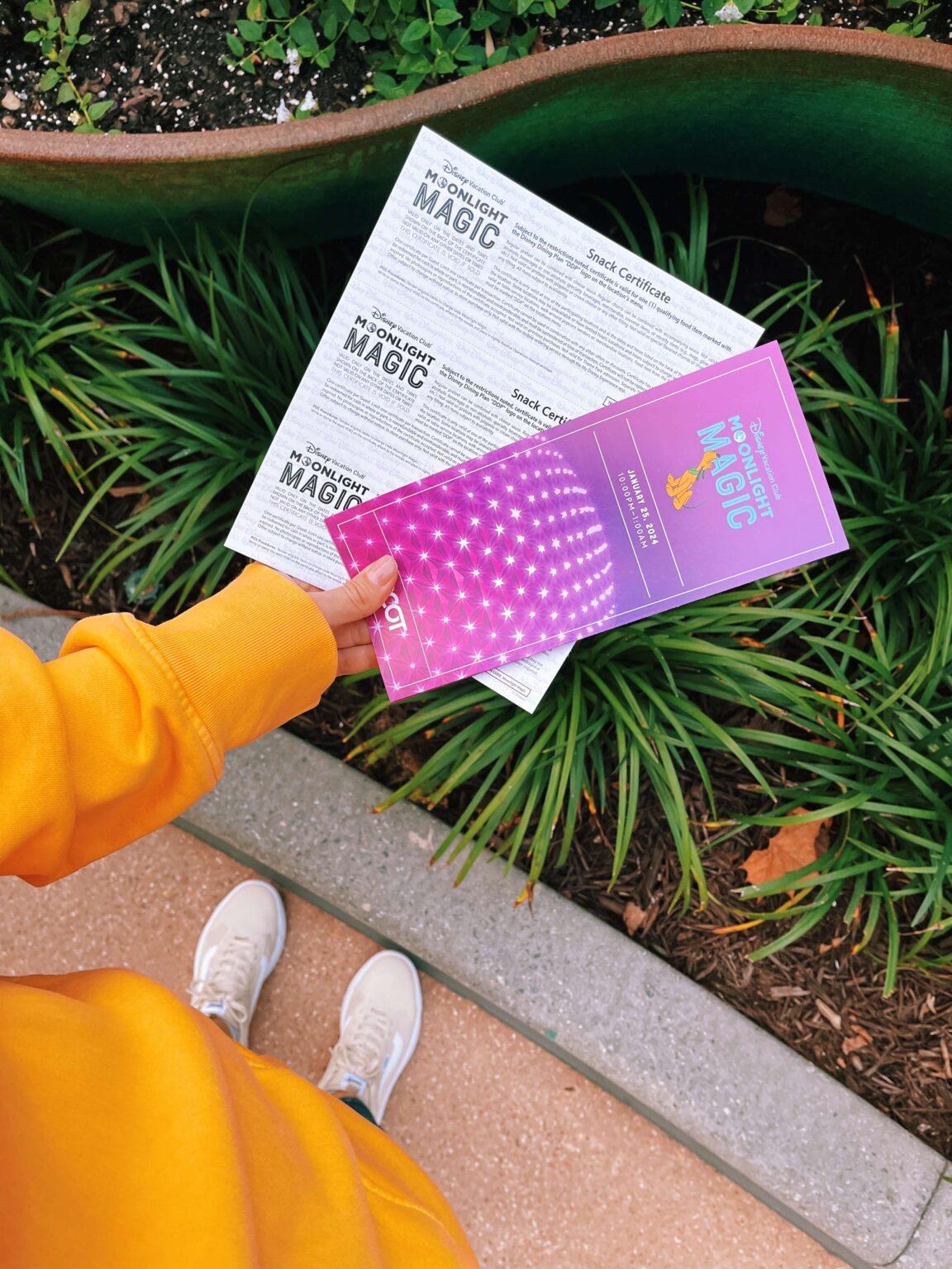 The DVC Member’s Guide to Moonlight Magic at EPCOT - Wander & Wilde