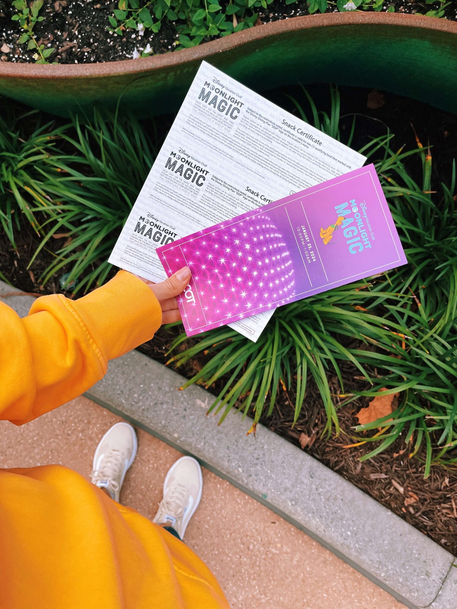 The DVC Member’s Guide to Moonlight Magic at EPCOT - Wander & Wilde